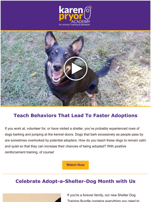 Karen Pryor Clicker Training: Teach Behaviors that Lead to Faster Adoptions | Milled