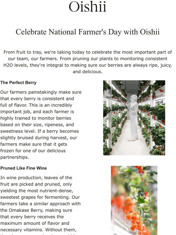 Oishii: Look Inside the World's Largest Indoor Vertical Strawberry Farm ...
