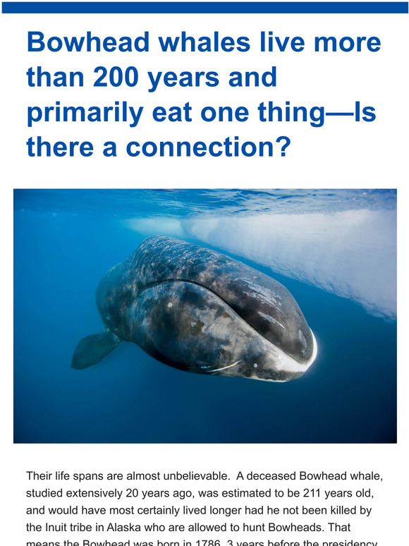 Immunocorp: 🔴 Arctic Ruby Oil—Buy One Get One Free—Today Only | Milled