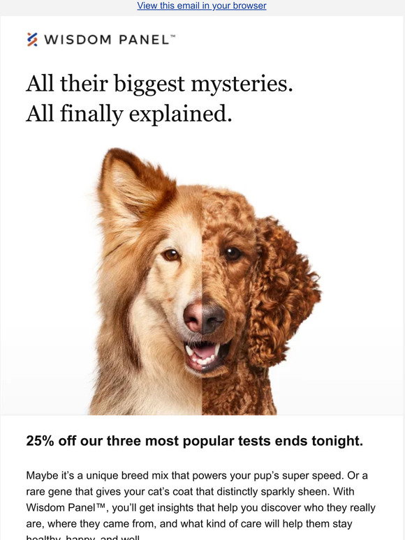 Wisdom Panel: Save money and know your pet like never before | Milled
