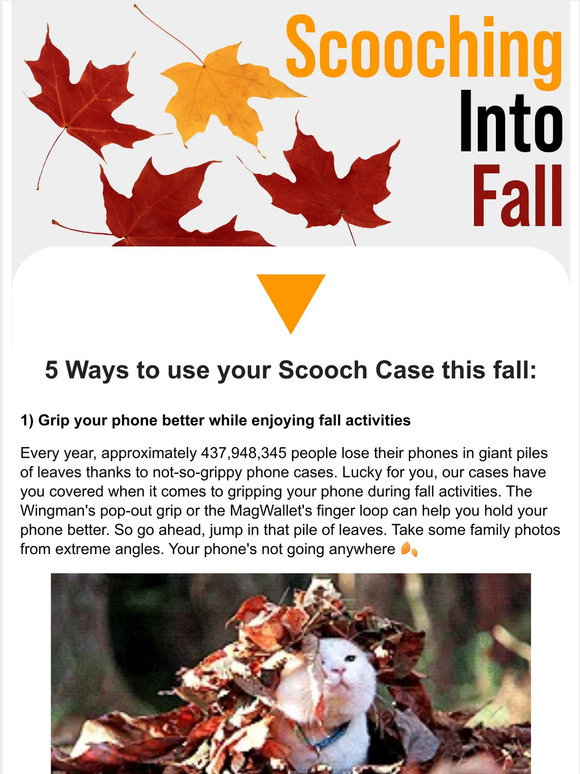 scoochcase: Top 3 ways to get your Scooch on this fall... | Milled