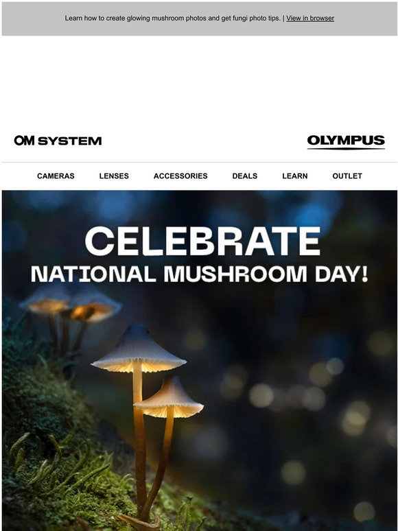 Olympus: Get New Photo Tips for National Mushroom Day | Milled