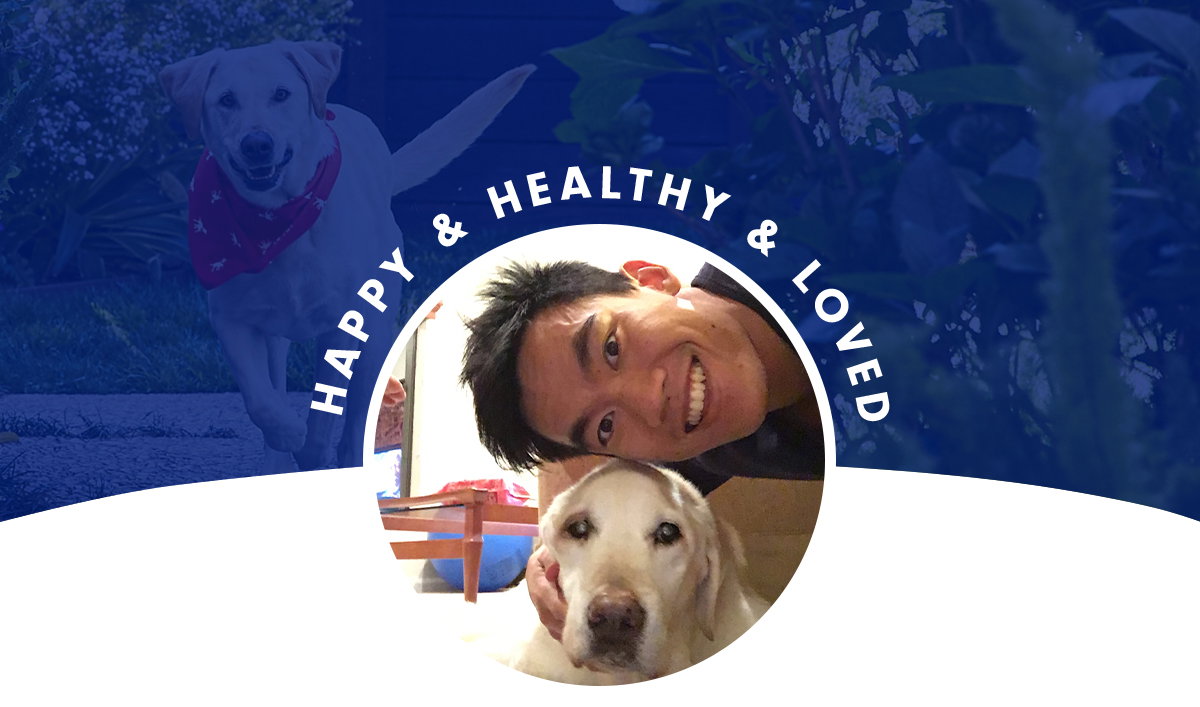 PetLab Co.: The real story behind why I started PetLab Co. | Milled