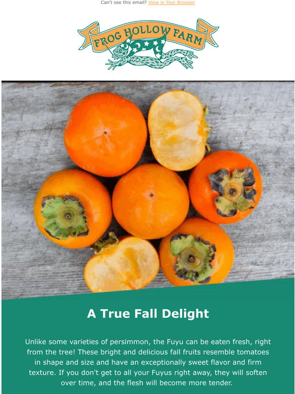 Frog Hollow Farm: An All-Star Persimmon 🟠 | Milled