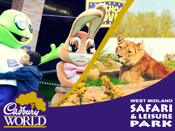 National Holidays: It’s World Chocolate Week! Book yourself a ...