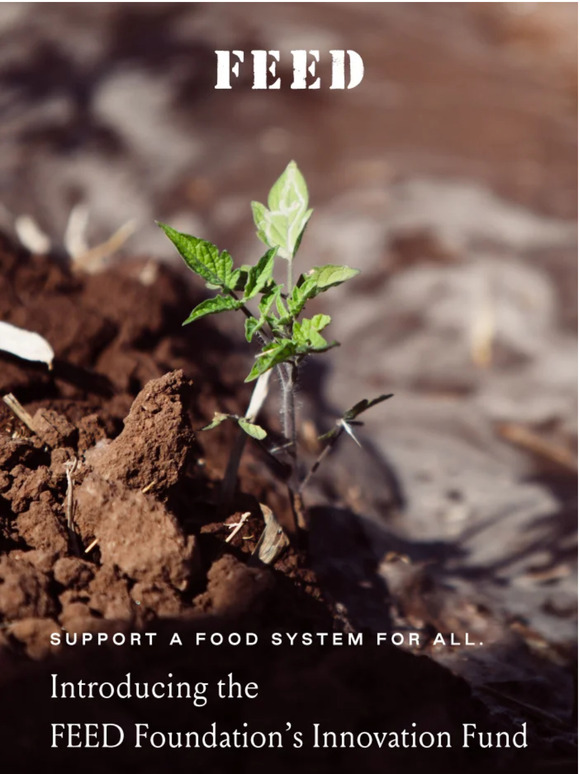 FEED: Introducing the FEED Foundation's Innovation Fund | Milled