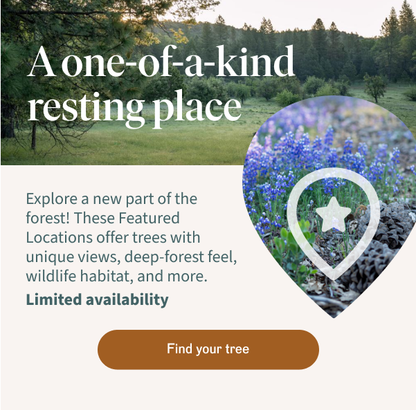 Better Place Forests: New! Announcing Featured Locations | Milled