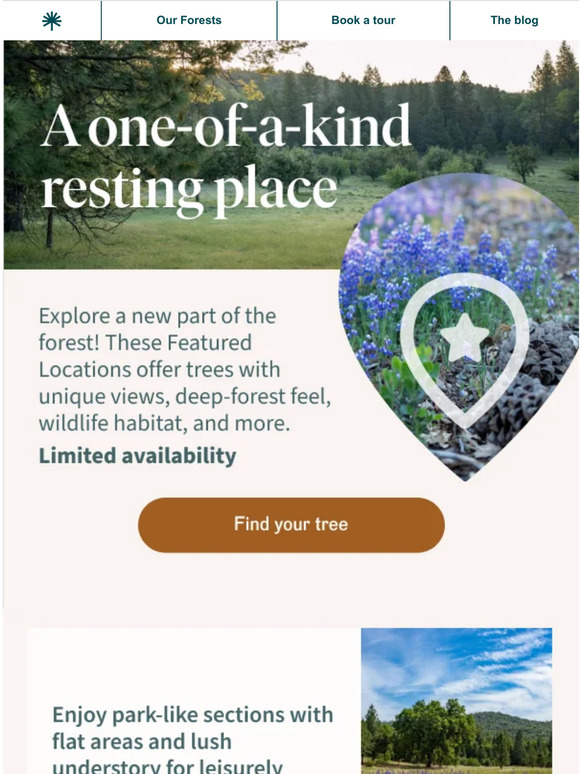 Better Place Forests: New! Announcing Featured Locations | Milled