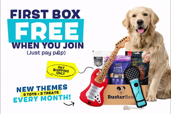 Sock Geeks: Free 1st box (just pay £5 postage) on Buster Box 🐶 | Milled