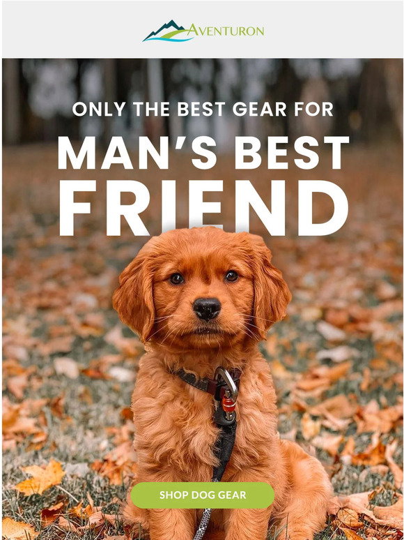 Aventuron: Get Your Pup Adventure-Ready 🐶 | Milled