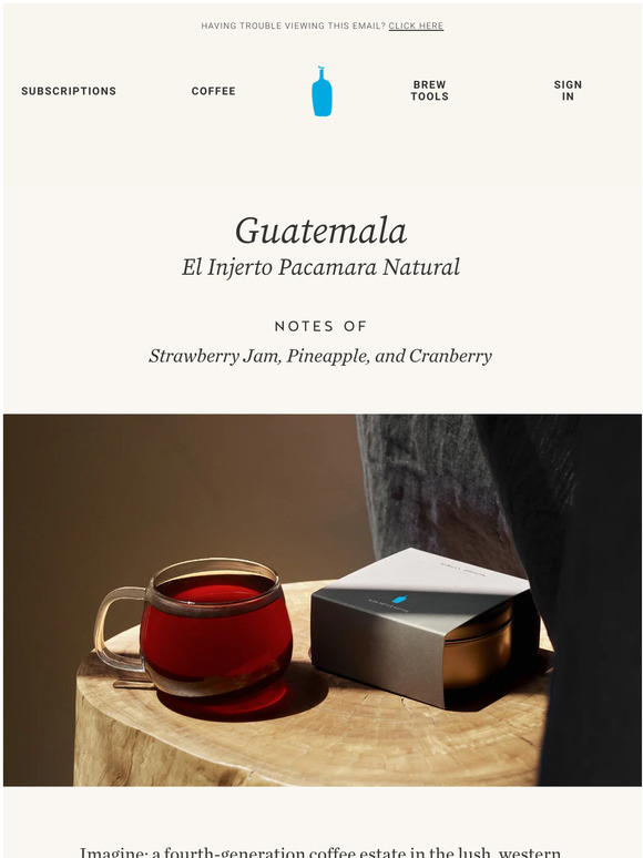 Blue Bottle Coffee: NEW Exceedingly Rare | Guatemala El Injerto ...
