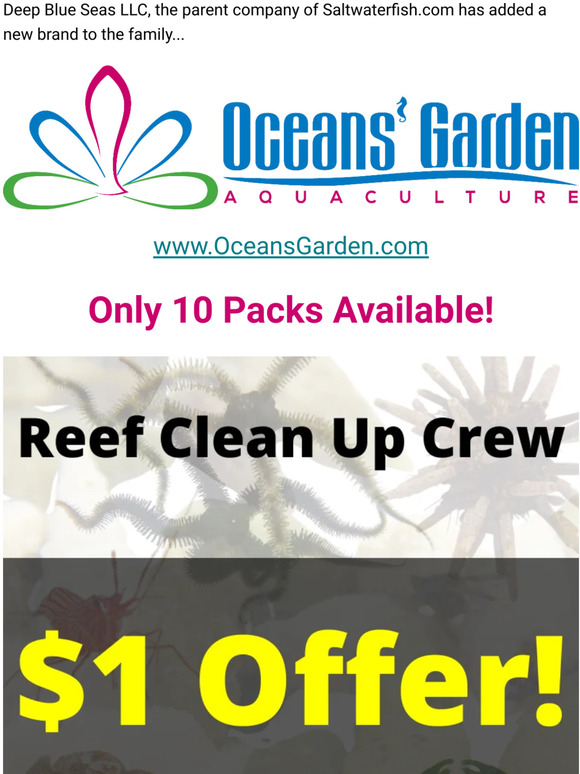 Salt Water Fish: $1 Reef Clean Up Crew @ Oceansgarden.com | Milled