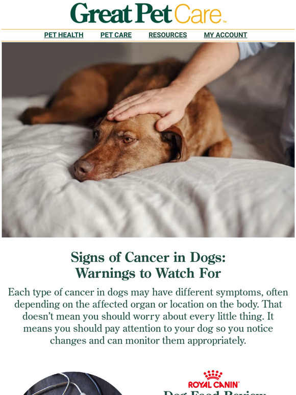 Great Pet Care: 6 Signs of Cancer in Dogs | Milled
