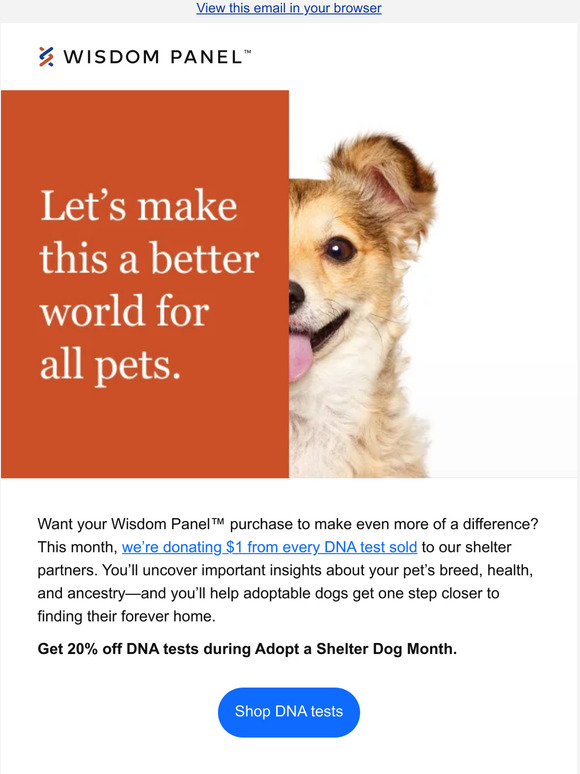 Wisdom Panel: Know your pup better while also helping dogs in need | Milled