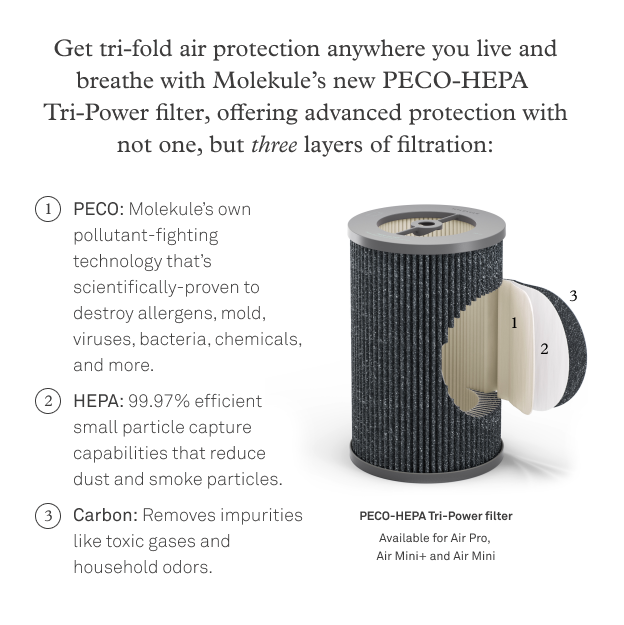 Molekule: Meet the new PECO-HEPA Tri-Power filter | Milled