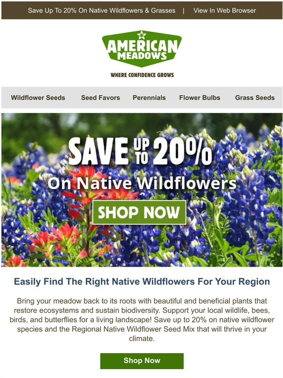 American Meadows: Easily Find The Right Native Wildflowers For Your ...