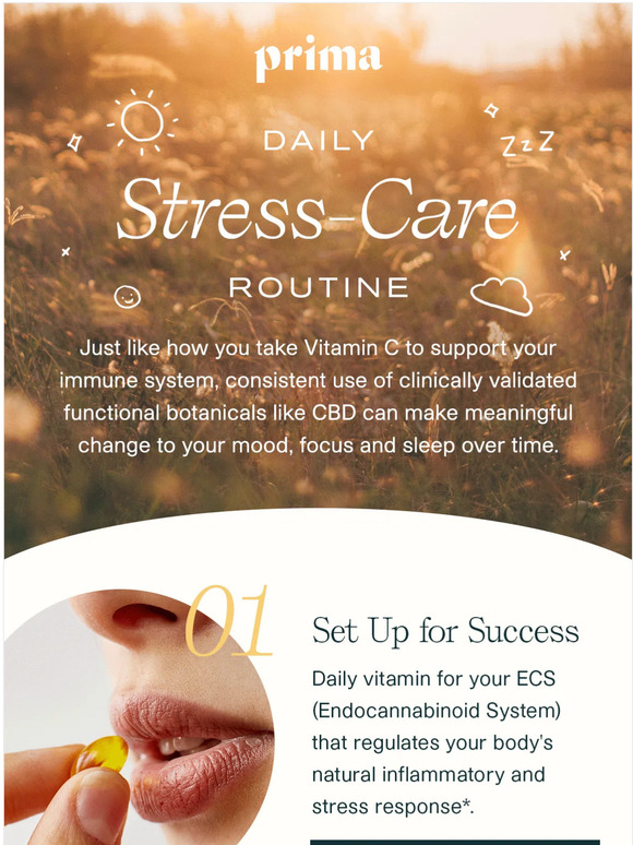 Prima: A stress-free routine for a successful day | Milled