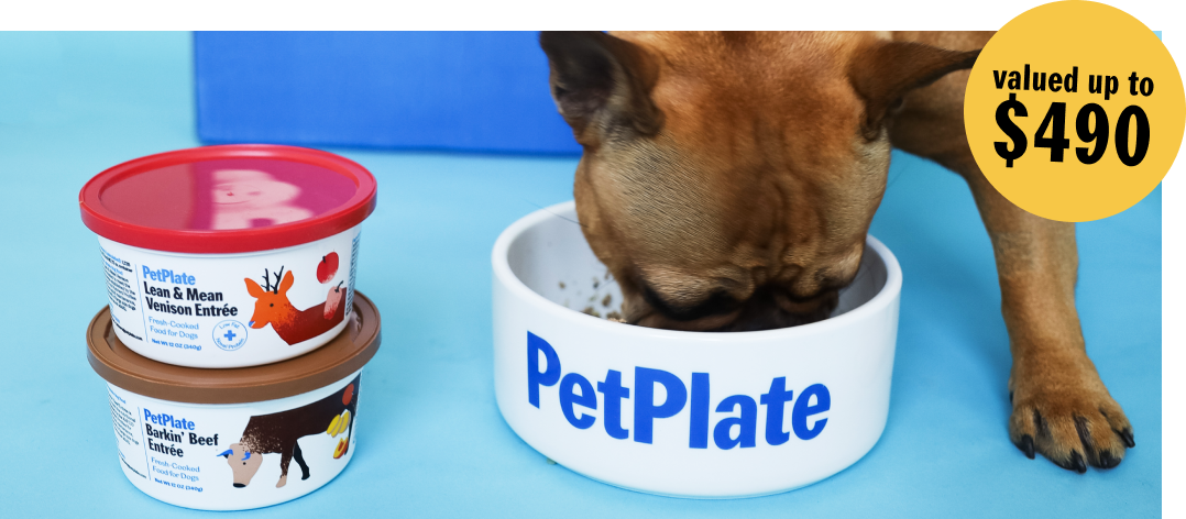 PetPlate: Enter to win the Crate Expectations giveaway! | Milled