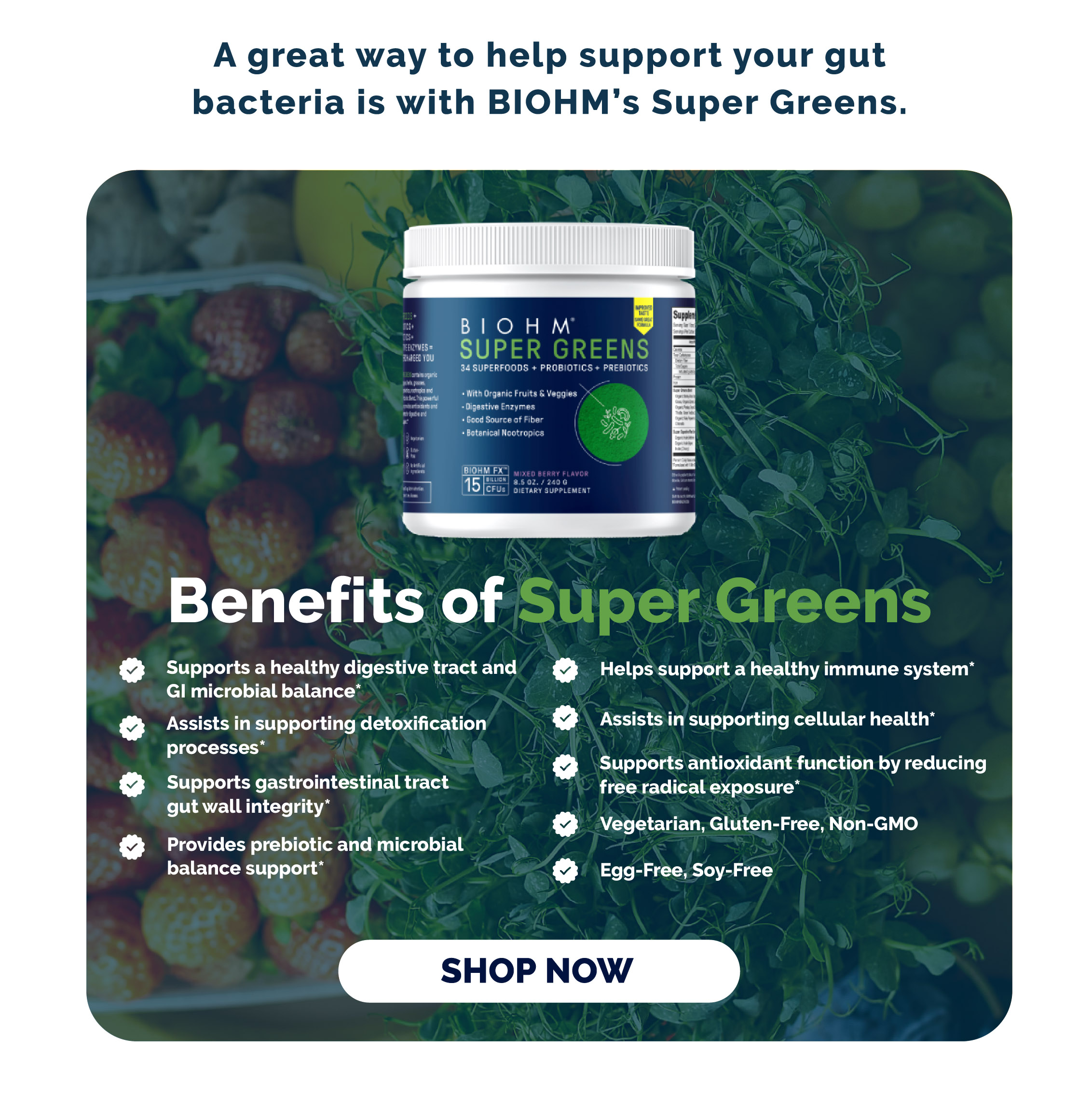 BIOHM: 7 Reasons Why Gut Bacteria Is Important For Your Health 🦠 | Milled