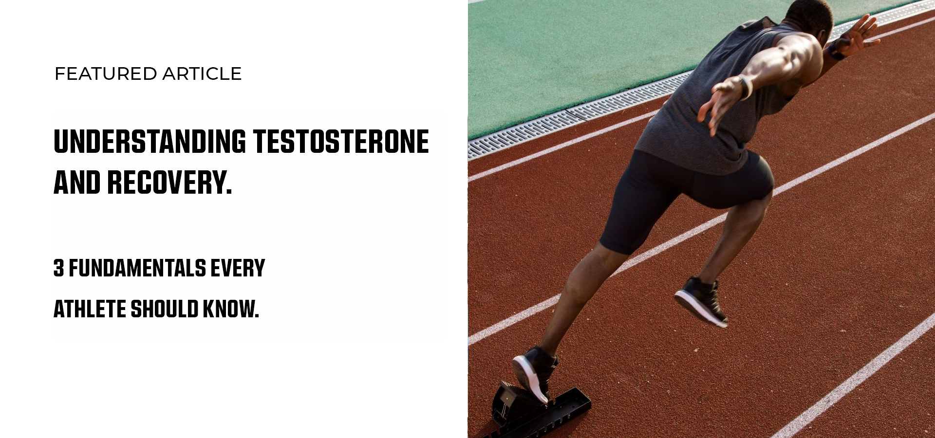 Myomaster: Understanding testosterone and recovery | Milled