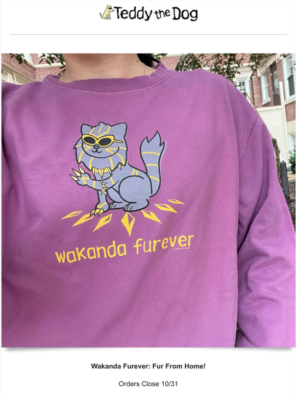 Teddy the Dog: Tilly Will No Longer Watch From the Shadows... | Milled