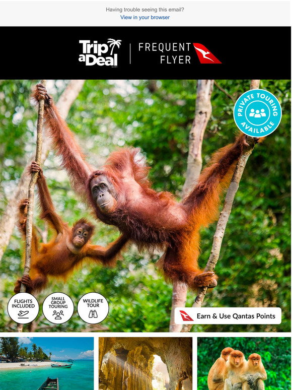 TripADeal: Last Chance: 2 For 1 Borneo Bucket List Tour From $4998 | Milled