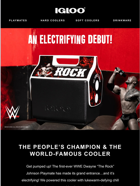 Igloo-Store.com: WWE The Rock Playmate makes an electrifying debut.💪⚡️ ...