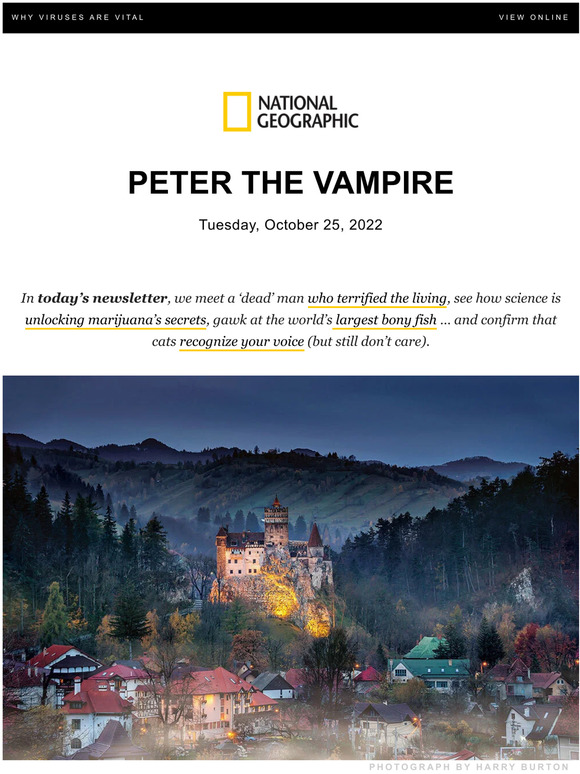 National Geographic: This ‘vampire’ frightened the world | Milled