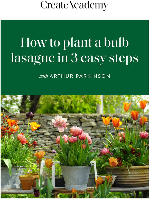 Create Academy: Free guide: How to plant a bulb lasagne | Milled