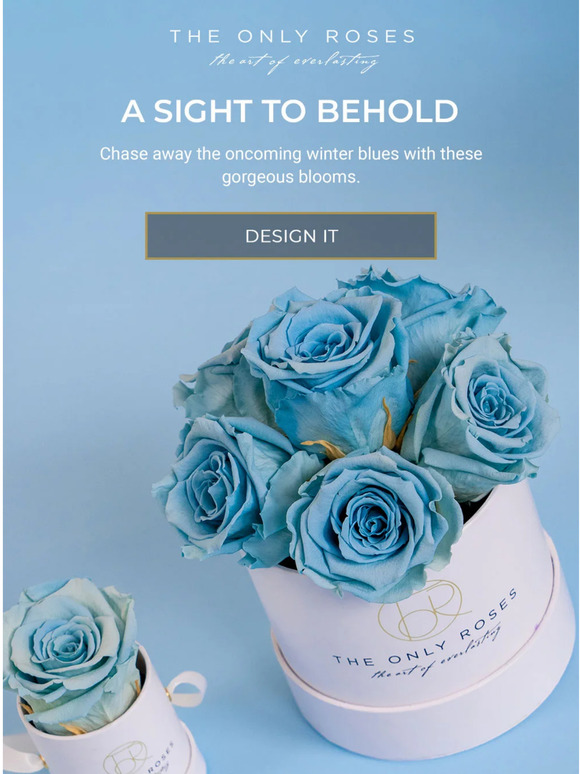 The Only Roses: Celebrate your anniversary with this elegant rose color ...