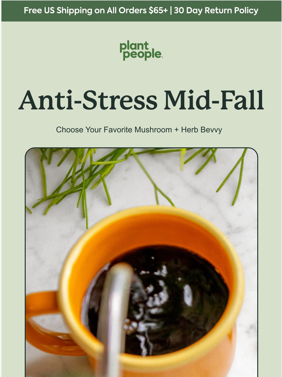 Plant People: Anti-Stress Mid-Fall: Choose Your Favorite Mushroom Bevvy ...