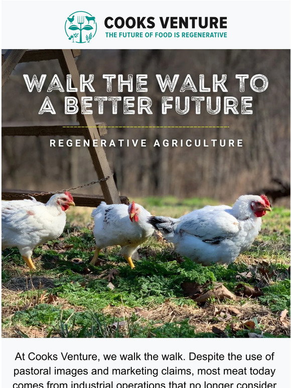 Cooks Venture: Hatching a better future 🐣 | Milled