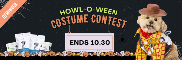 KetoNatural Pet Foods: Our Howl-O-Ween Contest is Ending Soon! | Milled