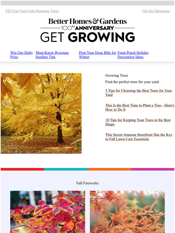 Better Homes And Gardens 5 Tips For Choosing The Best Trees For Your