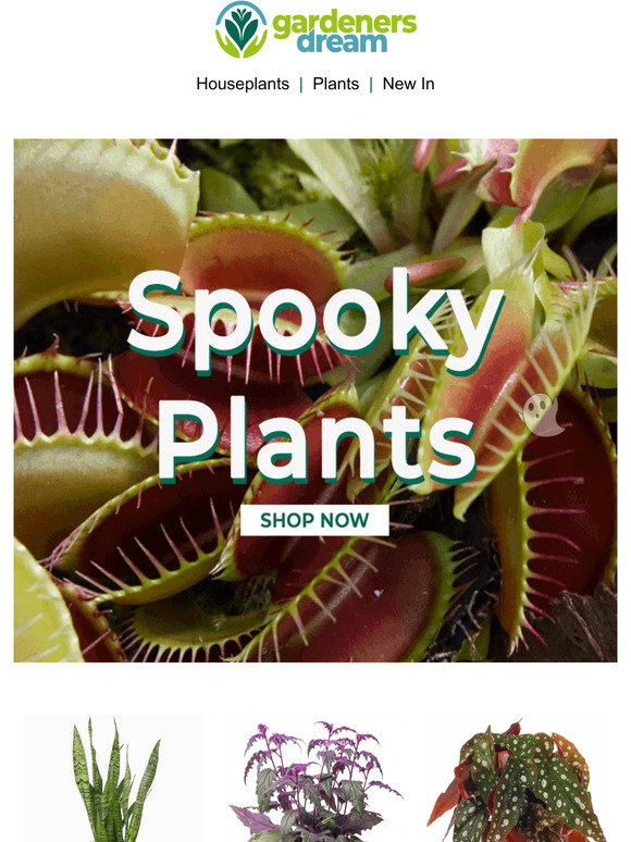 Gardeners Dream: Discover our spooky plants 🎃 | Milled