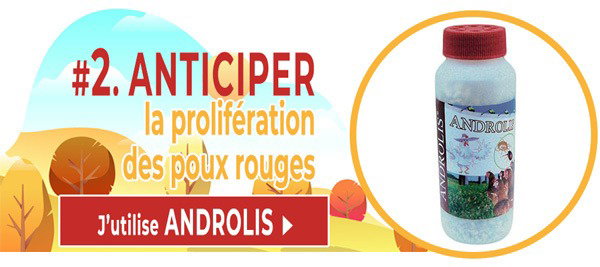 Chemin Des Poulaillers: 🐔 Poux, gale, coccidiose... Protégez vos poules ...