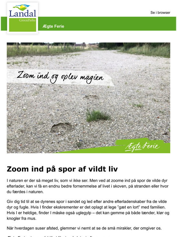 Landal GreenParks: Zoom ind på spor fra de vilde dyr i naturen | Milled