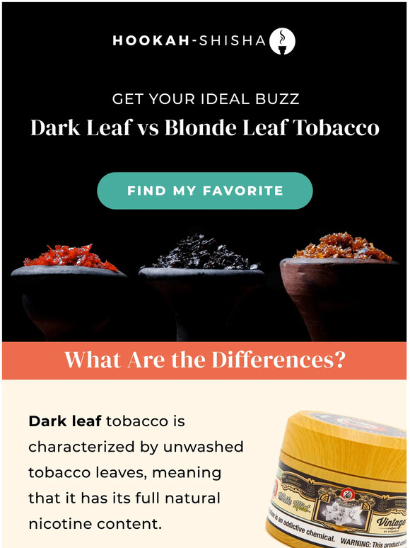 Hookah Shisha: Which shisha gives the perfect buzz? 🧐 | Milled