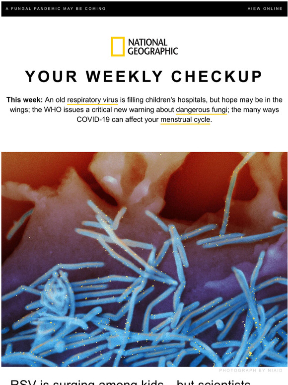 National Geographic: A familiar viral enemy is back with a vengeance ...