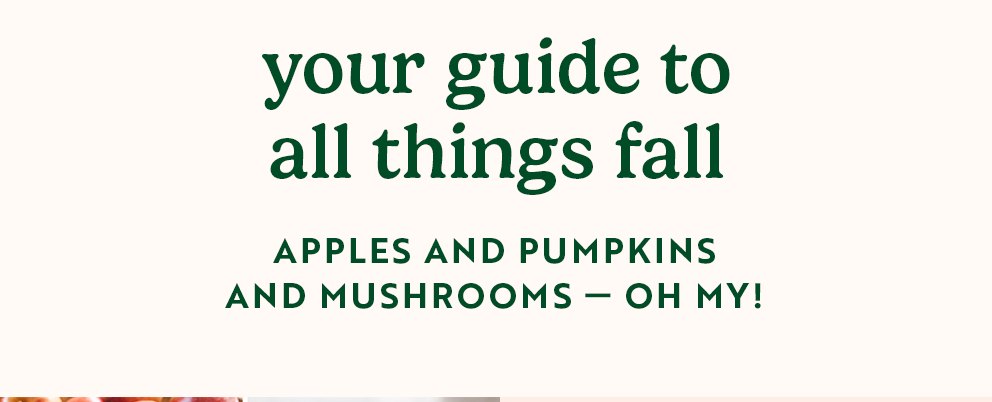 Printfresh: Your guide to all things fall 🍁 | Milled
