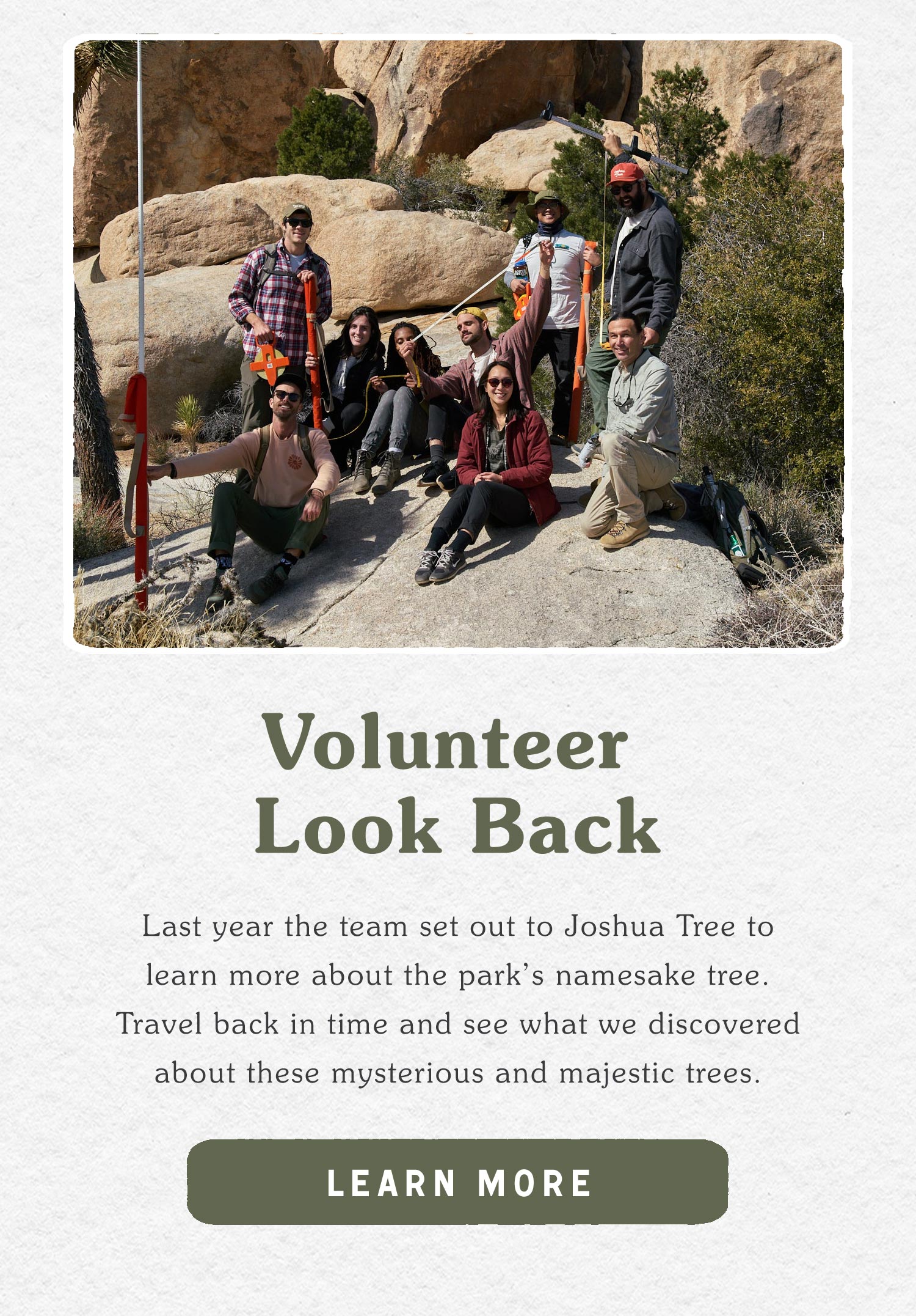 Parks Project: Happy Birthday, Joshua Tree! | Milled