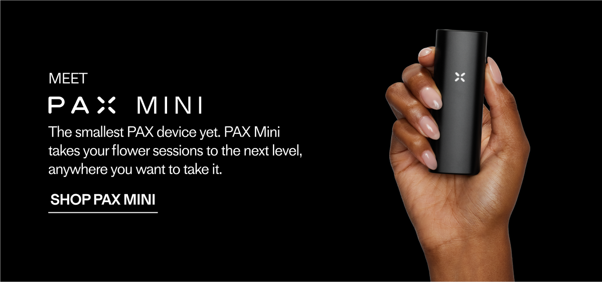 Personal Airline: Meet new PAX Plus & PAX Mini | Milled