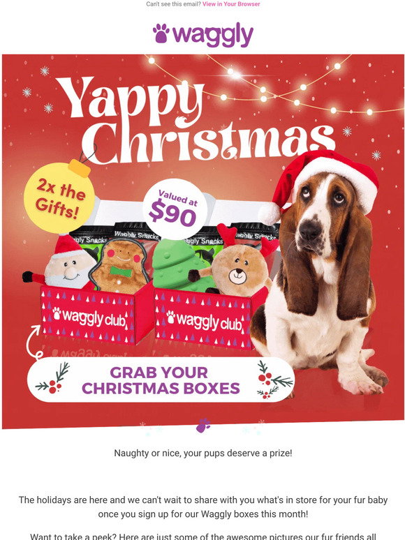 Waggly: Christmas came early for your fur baby and its SUPERSIZED! 🎅 ...