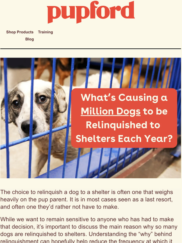 Pupford: [article] What's Causing a Million Dogs to be Relinquished to ...
