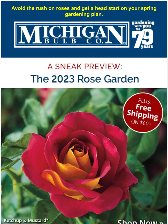Michigan Bulb: An early peek at 2023 roses! Pick yours today. | Milled Michigan Bulb: An early peek at 2023 roses! Pick yours today. | Milled