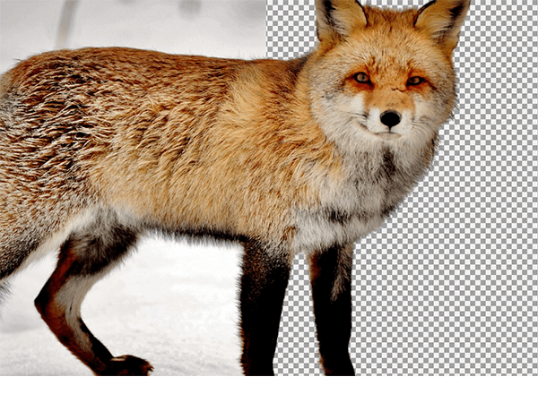 Ashampoo: Remove unwanted objects from your images at the click of a button - CutOut 9 ...