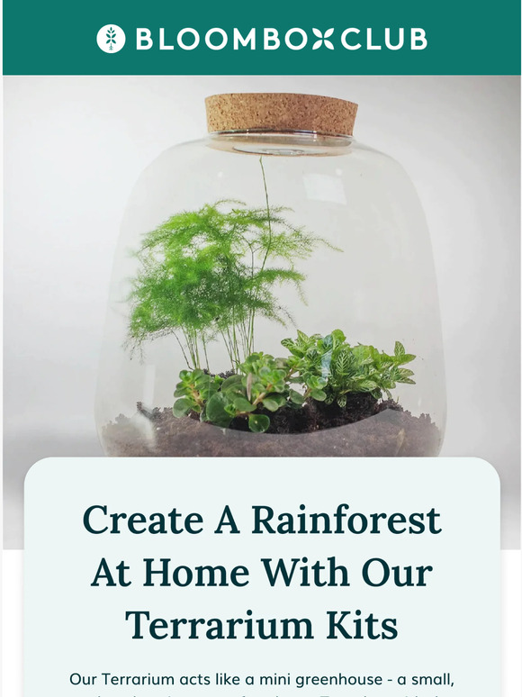 Bloombox Club: Build a custom terrarium in 4 steps. | Milled