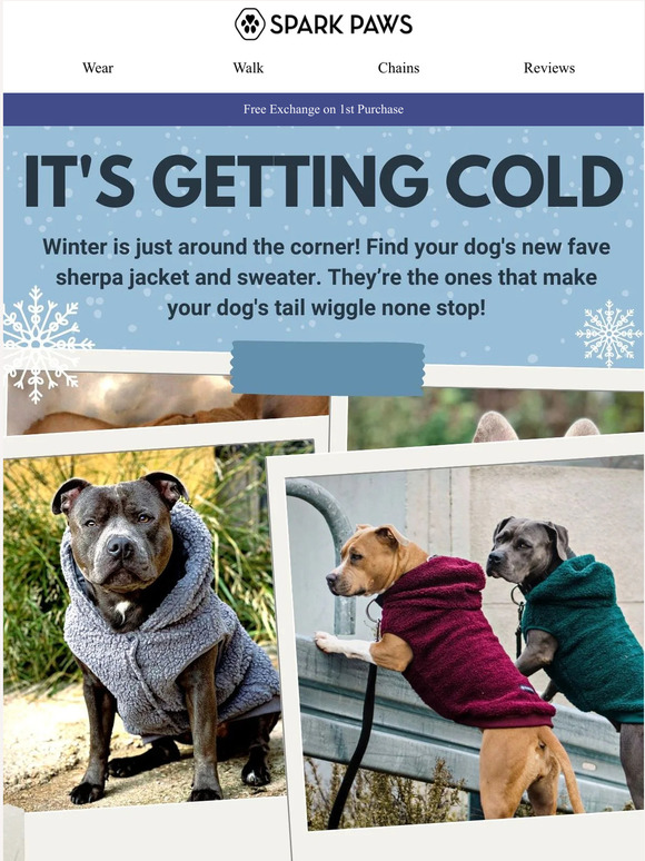 Spark Paws: Sweaters that will make the tail wiggle 🐶 | Milled