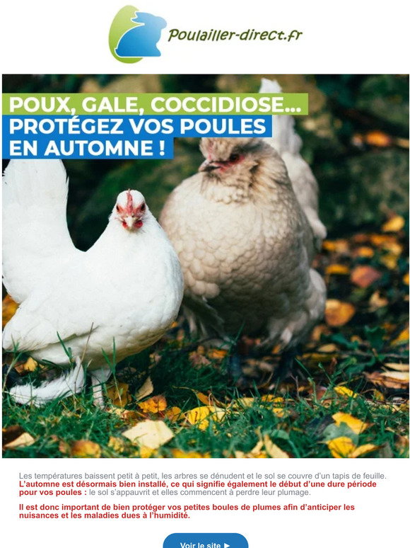 Poulailler Direct: 🐔 Poux, gale, coccidiose... Protégez vos poules en ...