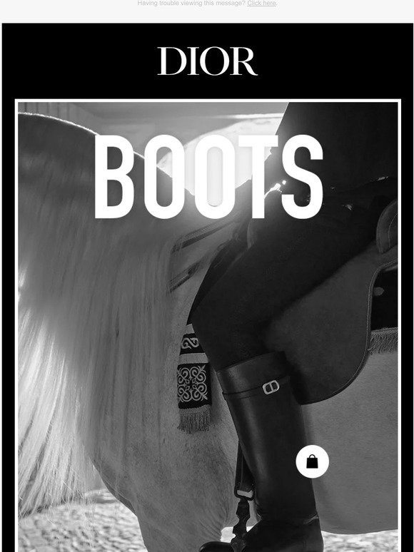 Dior: Get the Equestrian Look | Milled